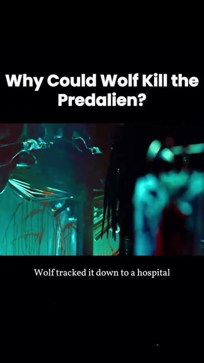 Predalien 🔥 Trending Trendingshorts Viralvideo Facts Moviescore