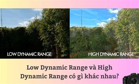 Dynamic Range Là Gì Làm Sao để Dùng Dynamic Range Hiệu Quả Máy Ảnh