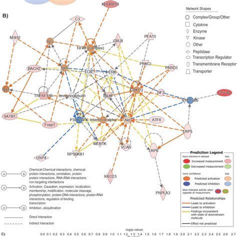 Ingenuity Pathway Analysis For Differentially Expressed Circular Rnas