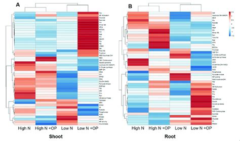 Cluster Heat Map Analysis Summarizing The Maize Shoot A And Root