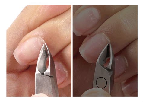 Professional Cuticle Nipper Lookbook Vainpot Official