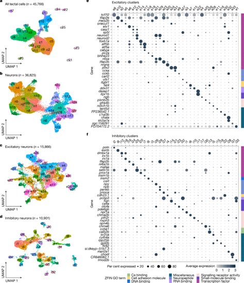 Transcriptomic Neuron Types Vary Topographically In Function And