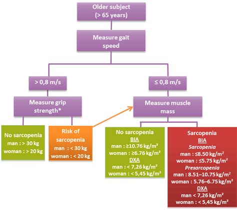 Sarcopenia Diagnosis Citrage Stratégies Nutritionnelles Innovantes