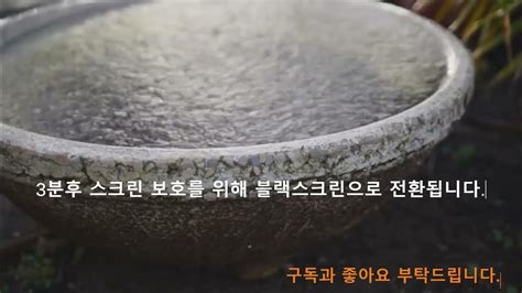 집중력 좋아지는 백색소음 빗소리 백색소음 Asmr Youtube