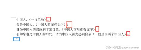 【技术类 02】python实现docx段落文字的“手动换行符（软回车）”变成“段落标记（硬回车）”python Docx 段落标记 Csdn博客