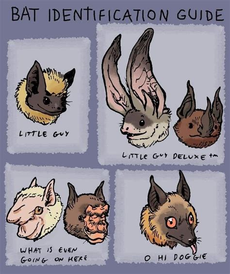 Pin By Thee Serious Moonlight On Gothy Stuff Bat Art Cute Bat Bat