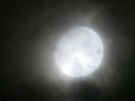 今宵の月は雲に隠れて アラコキhisaの徒然日記