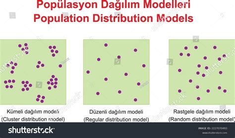 Population Dispersion