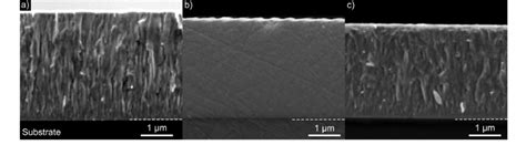 Sem Fracture And Polished Cross Sections Of Coatings Deposited With