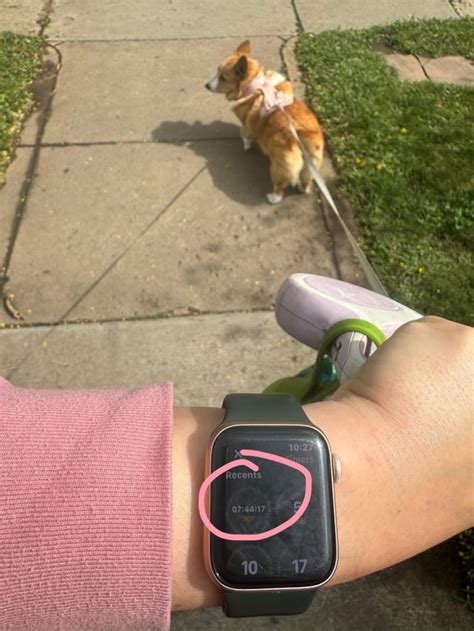 Timer App On My Apple Watch Doesnt Work Properly Half The Time R