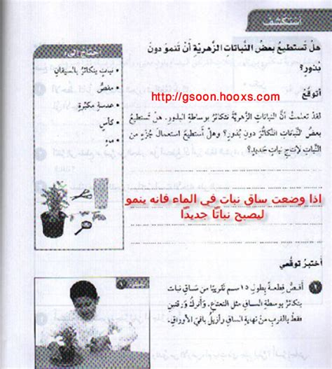 حل كتاب النشاط للعلوم المطور للصف الخامس الفصل الاول