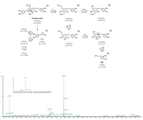 Ms 2 And The Fragmentation Pathway Of The Ech Download Scientific
