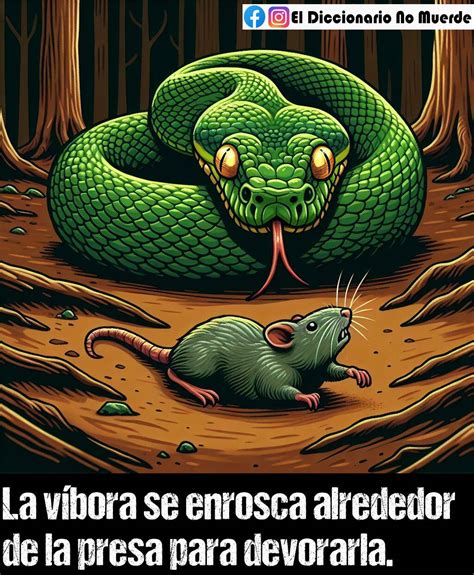 Significado De Víbora