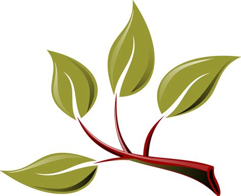 Clipart Leaves Branch Clipart Leaves Branch Transparent FREE For Download On WebStockReview 2024