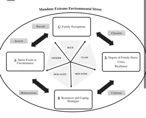 HDFS Unit 3 Exam Flashcards Quizlet HDFS Unit 3 Exam Flashcards Quizlet