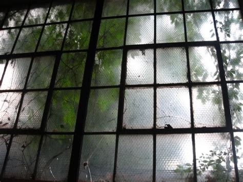 Abstracted Tree Abstract Tree Abstract Visual