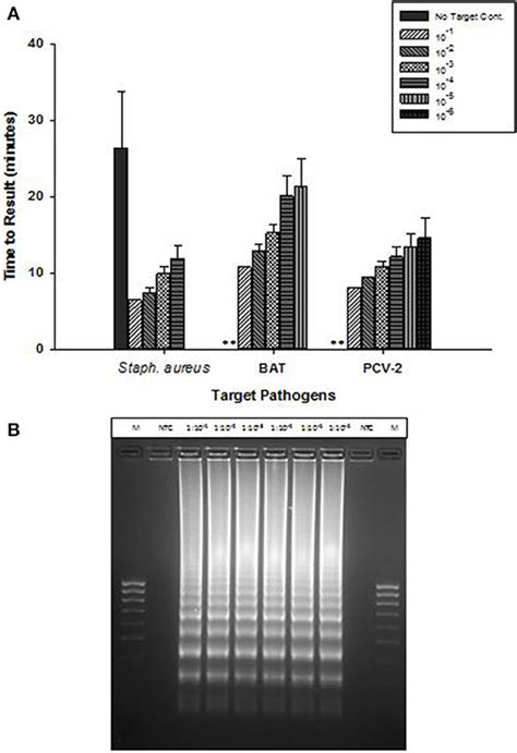 Detection Of Dna Targets Staphylococcus Aureus Staph Aureus Download Scientific Diagram