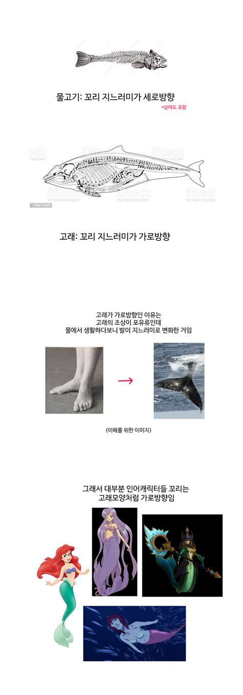 물고기와 고래의 차이점 포텐 터짐 최신순 에펨코리아