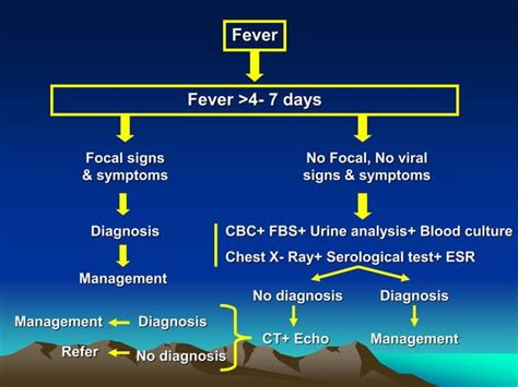 Approach To Fever Types And Gradesppt Blood Disorders Diseases And