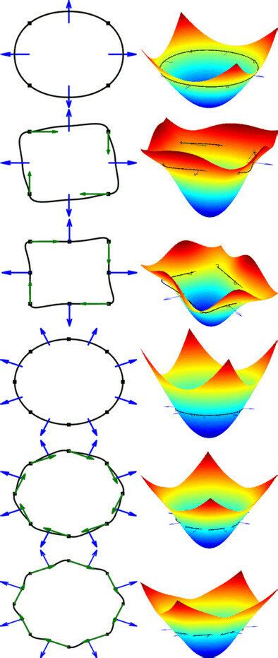 Generalized Interpolation Of Two Dimensional Data The Left Column