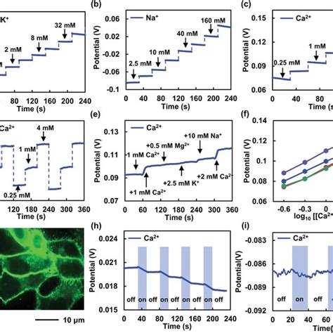 Characterization Of Ion‐selective Sensors The Response Of The