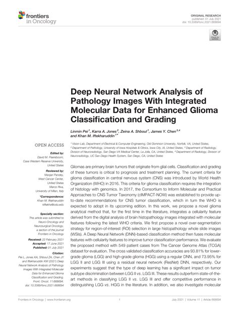 Pdf Deep Neural Network Analysis Of Pathology Images With Integrated