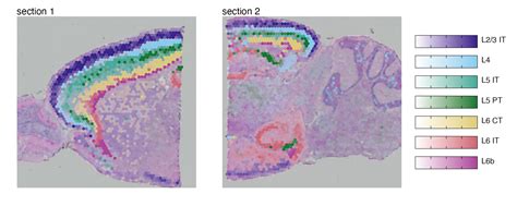 Cell Type Mapping With Nnls • Semla