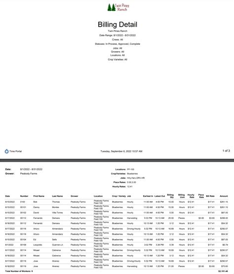 Billing Detail Report Support Time Portal Llc