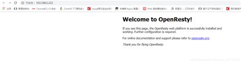 nginx lua脚本 redis 实现自动封禁访问频率过高ip nginx lua 每次请求 redis 统计 csdn博客