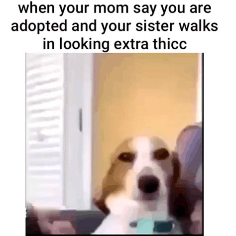 What Are You Doing Step Sis Rdankmemes