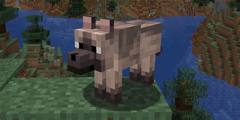 Minecraft All Wolf Variants From Java Bedrock Editions