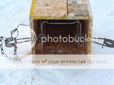 Coni Box Trigger Placement For Beginnersnew Pics Trapperman Forums