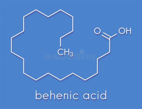 Behenic Acid Docosanoic Acid Saturated Fatty Acid Molecule Skeletal