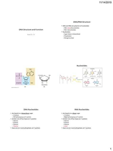 SOLUTION Biol Dna Structure And Function Chapter Notes Studypool