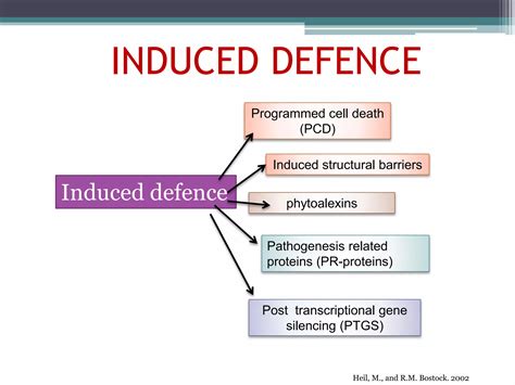 Host Pathogen Interaction Plants Pptx