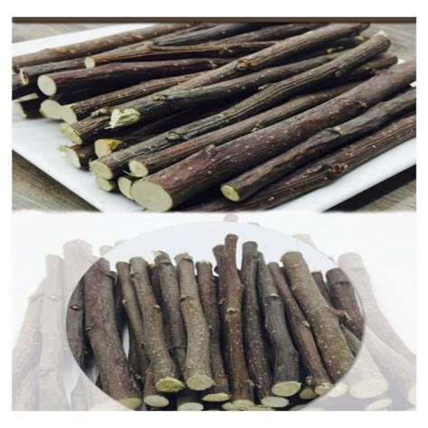 鸚鵡啃咬玩具 天然蘋果木樹枝（以支計價）磨牙玩具 鼠兔子黃金鼠 蝦皮購物