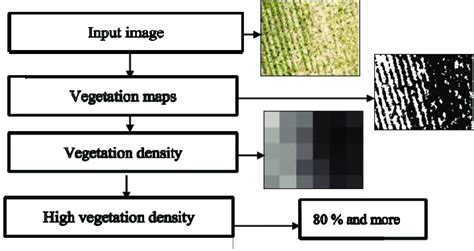 Algorithm For Assessing The Quality Of Seedlings Of Agricultural Crops Download Scientific Diagram
