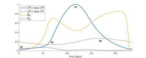 Evolution Of Spatial Aggregation And Population Dynamics Driven By Download Scientific Diagram