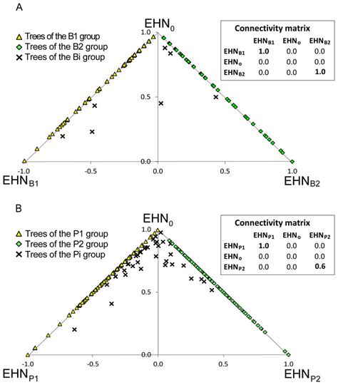 Triangular Representation Of The Nodes Of A The Mating Network And Download Scientific