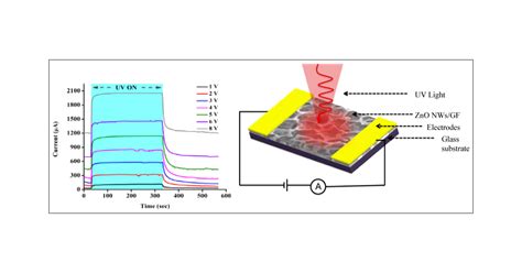 Highly Dense Zno Nanowires Grown On Graphene Foam For Ultraviolet