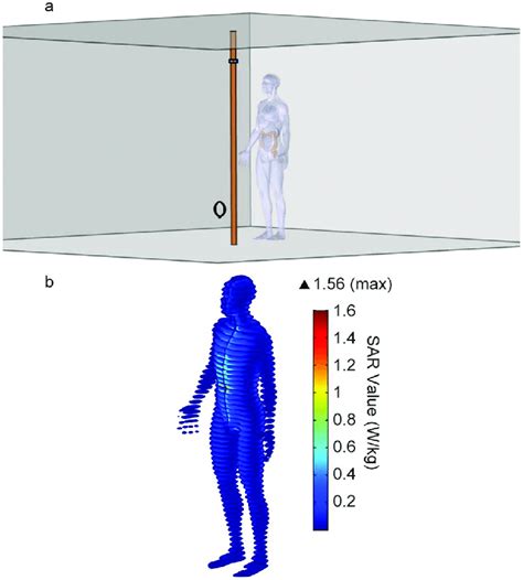 Sar Simulation A Setup Of Sar Simulation In Finite Element Software