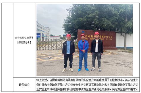 自贡鸿鹤制药有限责任公司硼酸碘酸钾生产装置安全现状评价报告 四川创安太平科技有限公司