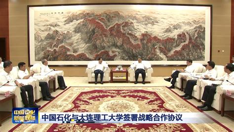 中国石化与英力士合作运营天津南港乙烯项目中国石化网络视频