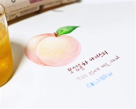 보성홍차 아이스티 맛있는 복숭아차 제로 맛 칼로리 가격 성분 네이버 블로그