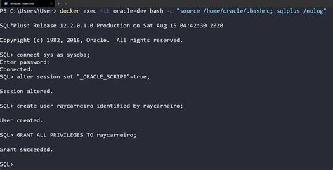 Deploy De Um Banco Oracle Em Um Container Docker Linux E Conexão Via Sql Developer Imasters