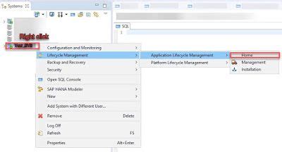 Small Hands On Sap Hana Application Lifecycle Management Artofit