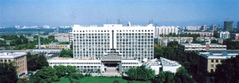 北京林业大学锤子简历