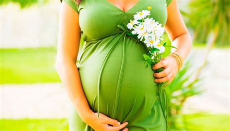 12 невероятных фактов о беременности которые тебя удивят