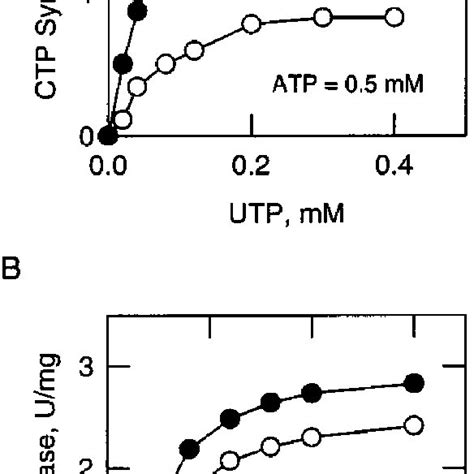 Effect Of Phosphorylation On The Kinetics Of Ctp Synthetase Activity Download Scientific