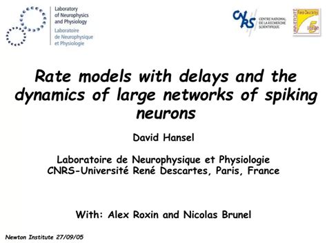 Ppt Dynamics Of Brain Activity In Large Neuronal Networks